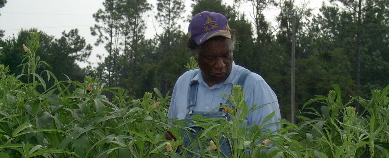 Federation Celebrated for Black Resistance in Fields and Food ...
