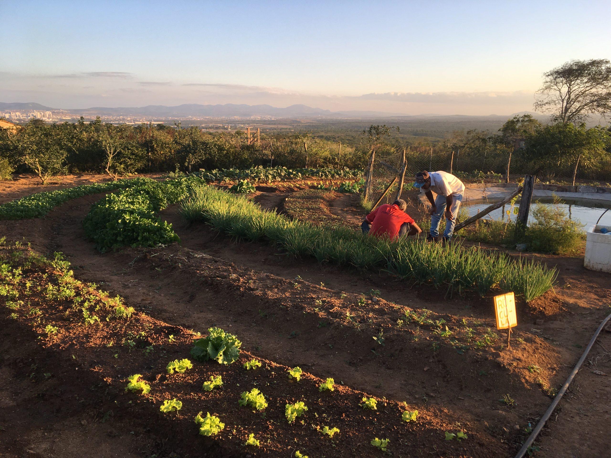 Land and Territory: Sovereignty, Culture and Resistance | Grassroots ...